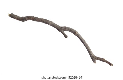 3,043,663 Branches isolated Images, Stock Photos & Vectors | Shutterstock