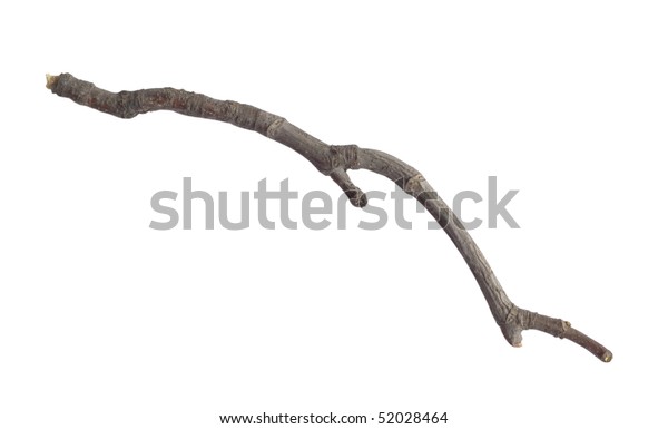 Single Branch Stock Photo (Edit Now) 52028464