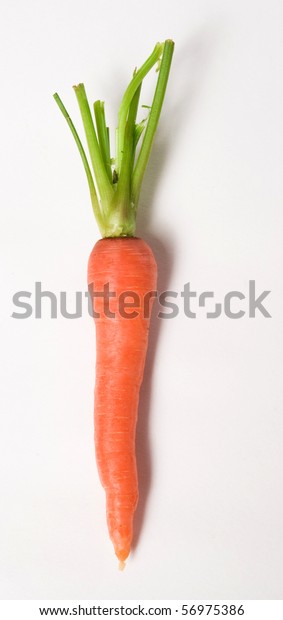 Single Carrot Stock Photo (Edit Now) 56975386