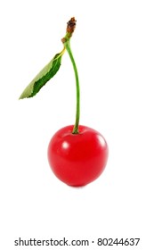Single Cherry Leaf Isolated On White Stock Photo 80244637 | Shutterstock