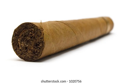 Original Cuban Cigar Selective Focus Isolated Stock Photo (Edit Now ...
