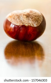 9,560 Shiny chestnuts Images, Stock Photos & Vectors | Shutterstock