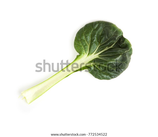 Single Leaf Chinese Flat Cabbage Brassica Stock Photo 772534522 ...
