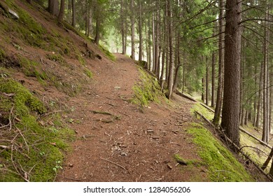 Single Mountain Path Splits Two Different Stock Photo (Edit Now) 1284056206