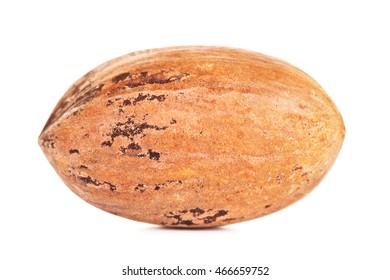 1,141 Single Pecan Nut Images, Stock Photos & Vectors | Shutterstock