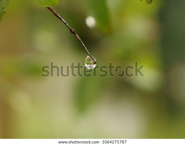 Single Rain Drop Falling Off End Stock Photo 1064275787 | Shutterstock