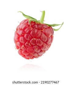 Single Red Raspberry Isolated On White Stock Photo 2190277467 ...
