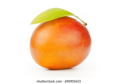 Mango Green Leaf Isolated White Background Stock Photo 701668534 ...
