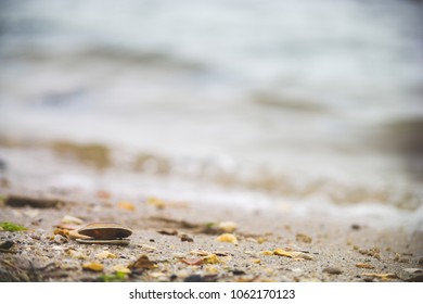 Stock Photo and Image Portfolio by Lauren Crossley | Shutterstock