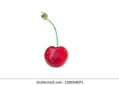 45,801 Single cherry on white Images, Stock Photos & Vectors | Shutterstock