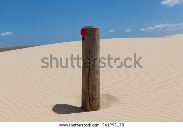 Single Timber Post Reflector Among Sand Stock Photo 541995178 ...