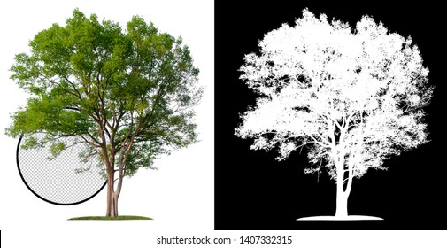 12,155 Tree alpha Images, Stock Photos & Vectors | Shutterstock