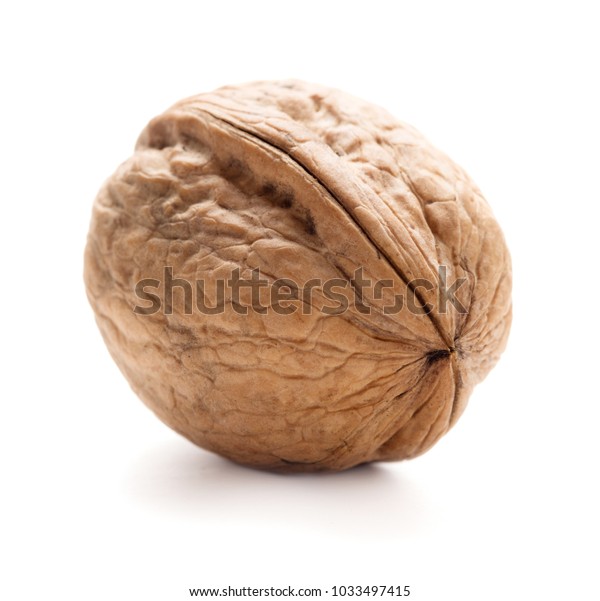 Single Walnut Shell Isolated On White 스톡 사진 1033497415 | Shutterstock