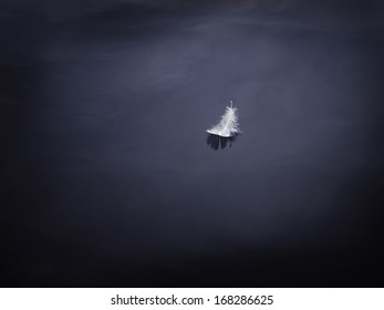 Single White Feather Floating Down River Stock Photo 168286625 ...