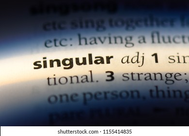 Singular Word Dictionary Singular Concept Stock Photo 1155414835 ...