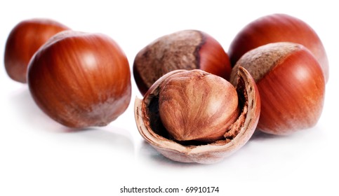166 One nutlet Images, Stock Photos & Vectors | Shutterstock