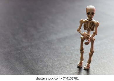 Skeleton Stock Photo 744132613 | Shutterstock