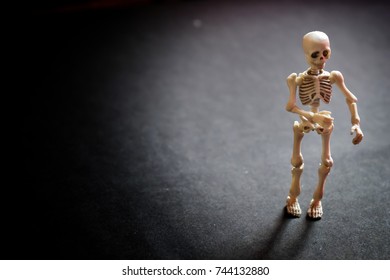 Skeleton Stock Photo 744132613 | Shutterstock