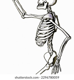 Hanging Skeleton2d Suspended Skeleton Line Art AI-generated image ...