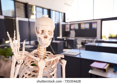 Skeleton Elementary School Science Classroom Stock Photo (Edit Now ...