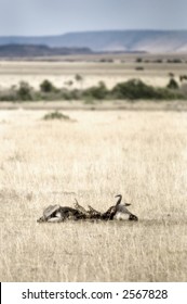 3,649 imágenes de Kenyan landscape - Imágenes, fotos y vectores de ...