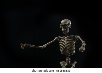 54 Skeleton president Images, Stock Photos & Vectors | Shutterstock