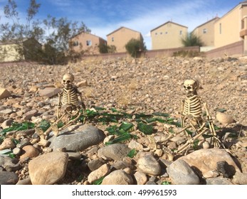 46 Bone shards Stock Photos, Images & Photography | Shutterstock