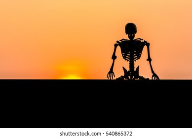 Skeleton Sit Over Sunset Stock Photo 540865372 | Shutterstock