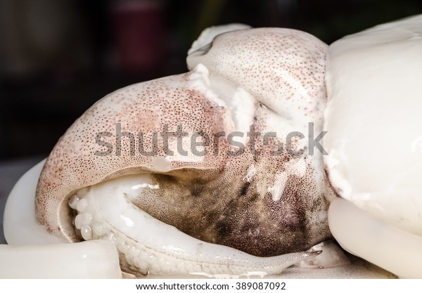 Skin Cuttlefish Texture Stock Photo 389087092 | Shutterstock