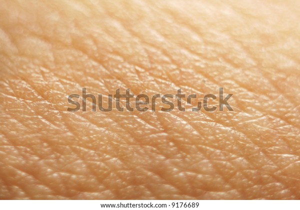 Skin Macro Stock Photo 9176689 | Shutterstock
