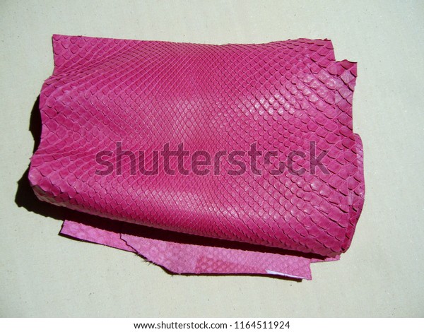 Skin Texture Face Underside Snake Skin 스톡 사진 1164511924 | Shutterstock