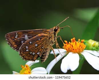 Stock Photo and Image Portfolio by kaopectin | Shutterstock