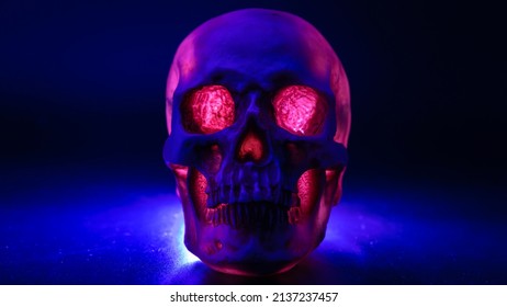 Skull Colored Lighting Loop Close Stock Photo 2137237457 | Shutterstock