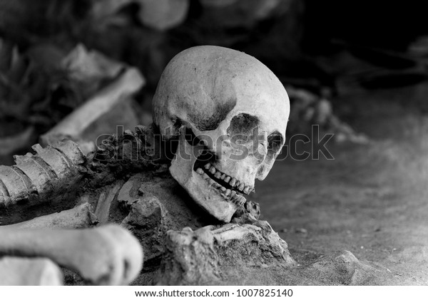 Teschio nero : 1 images, photos et images vectorielles de stock ...
