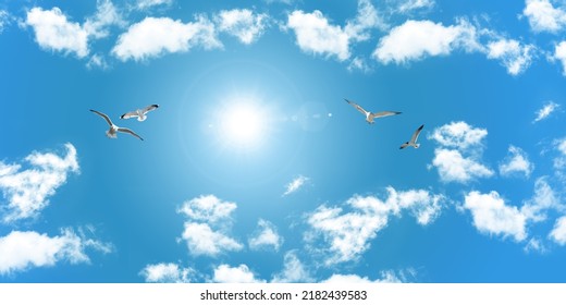 8,511 Birds bottom Images, Stock Photos & Vectors | Shutterstock