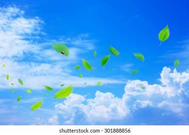 2,733,041 Green leaf sky Images, Stock Photos & Vectors | Shutterstock