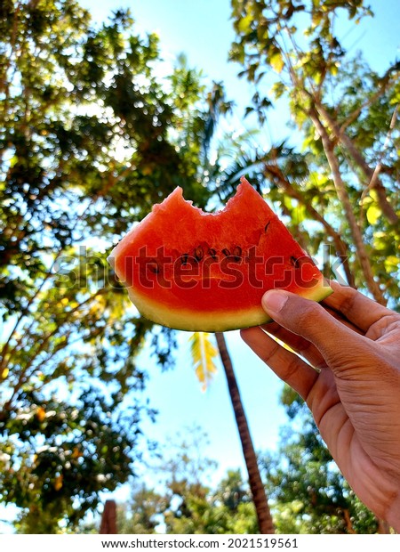 Slice Watermelon Bite Held Hand Taken Stock Photo 2021519561 | Shutterstock