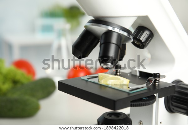 Slide Slice Lemon On Microscope Laboratory Stock Photo 1898422018 ...