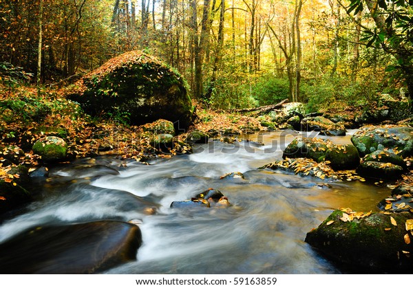 Slow Moving Stream Forest Decked Out Stock Photo (Edit Now) 59163859