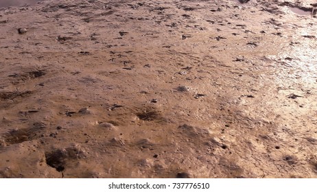Sludge Stock Photo 737776510 | Shutterstock