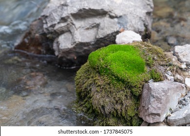 15,623 Rivulet Images, Stock Photos & Vectors | Shutterstock