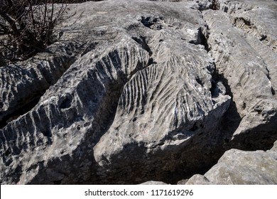 Small Karst Features Smallscale Landforms Grikes Stock Photo 1171619296 ...