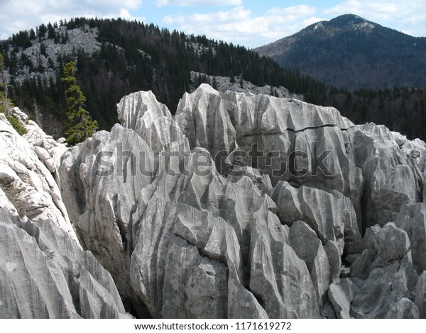 Small Karst Features Smallscale Landforms Grikes Stock Photo 1171619272 ...