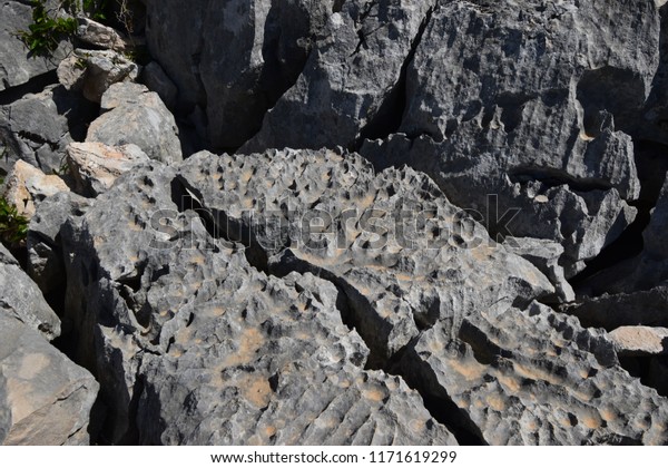 Small Karst Features Smallscale Landforms Grikes Stock Photo 1171619299 ...