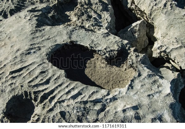 Small Karst Features Smallscale Landforms Grikes Foto de stock ...
