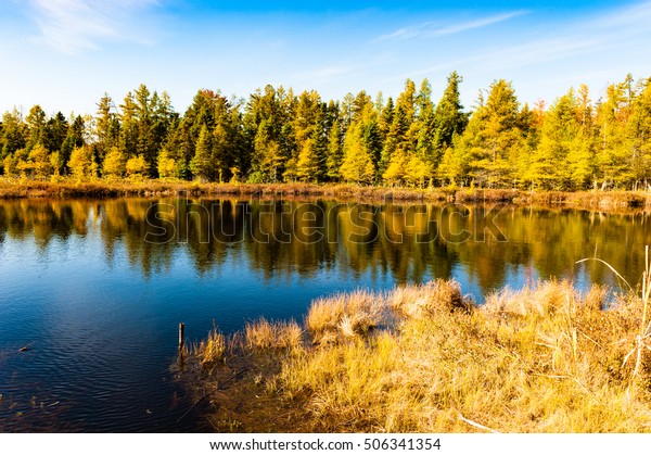 Small Lake Pine Trees Fall Stock Photo 506341354 | Shutterstock