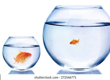 322,785 Large and small Images, Stock Photos & Vectors | Shutterstock