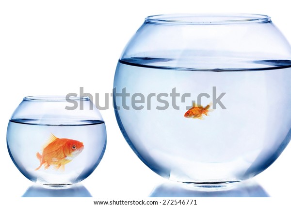 Small Large Comparison Stock Photo (Edit Now) 272546771