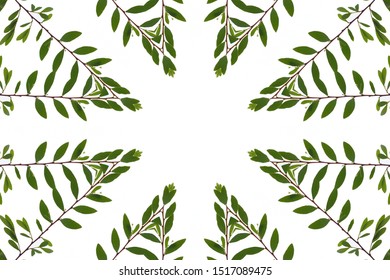 Small Leaves Circular Pattern Design Isolated Stock Photo 1517089475 ...