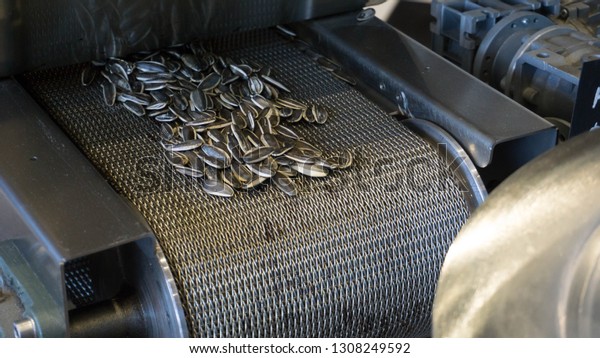 Small Local Factory Processing Nuts Seeds Stock Photo 1308249592 ...